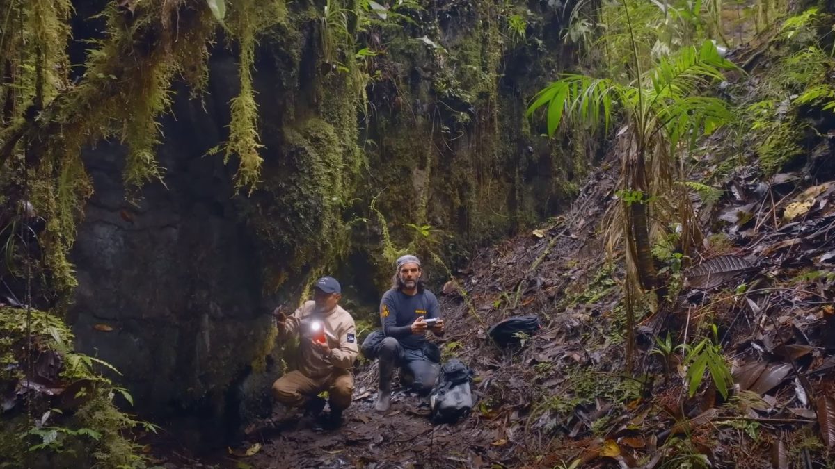 Pandora, el bosque mágico que descubre Charly Sinewan en Colombia