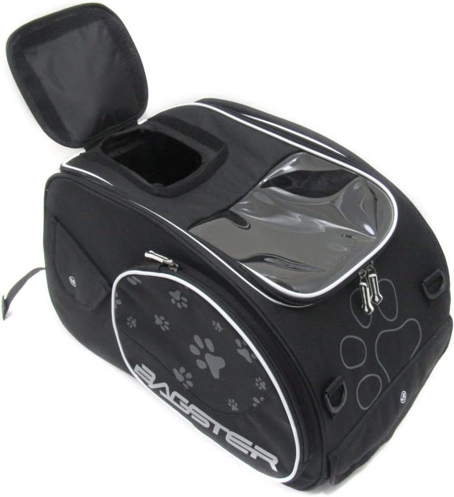 Llevar un perro en moto: legislación, sistemas y precios