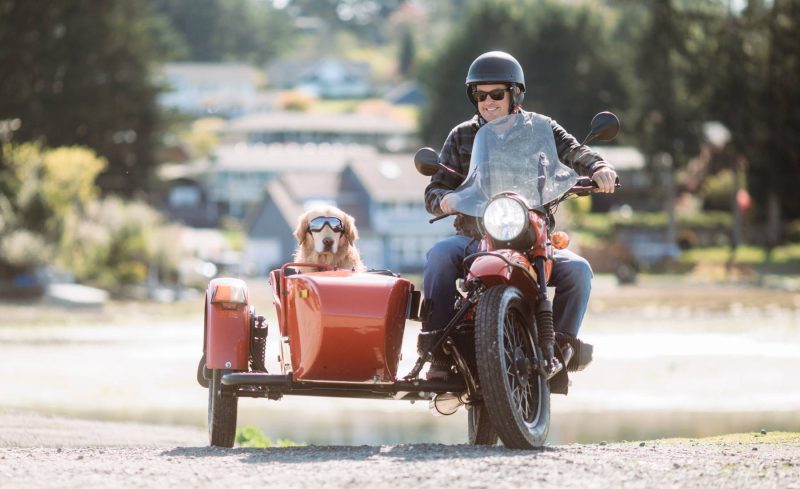 Llevar un perro en moto: legislación, sistemas y precios