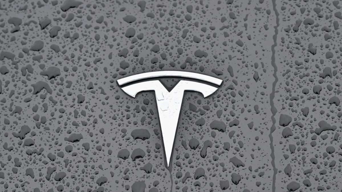 Elon Musk promete coches de Tesla baratos para la primera mitad del año