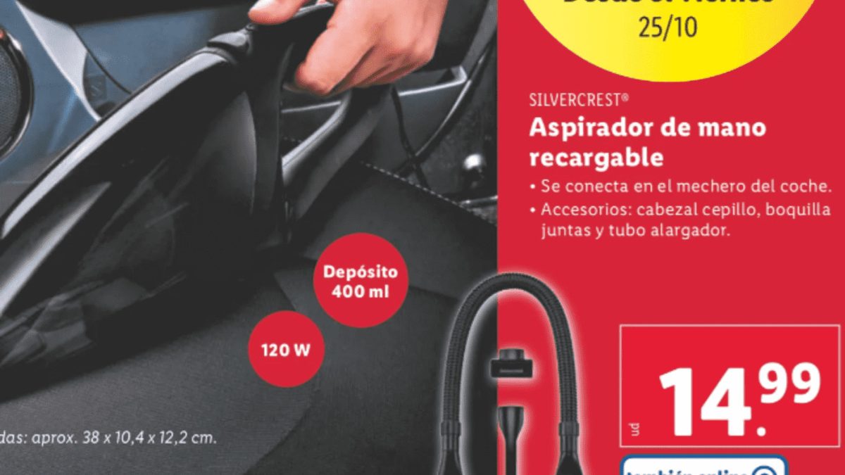 Solo hasta el domingo: Lidl ha enloquecido y tiene 19 productos para ...