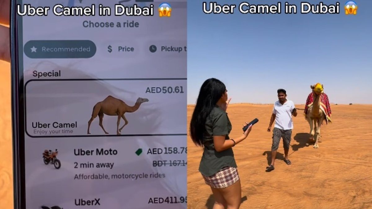 “Es una locura”: se pierden en el desierto de Dubái, piden un Uber y ...