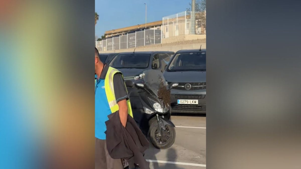 Termina de trabajar, va a por su moto y se encuentra con cientos de ...