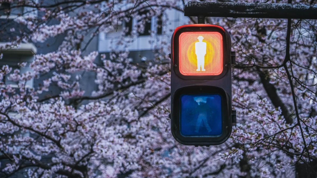 ¿Verdes o azules? Descubre la singular razón que explica por qué ves estos semáforos así